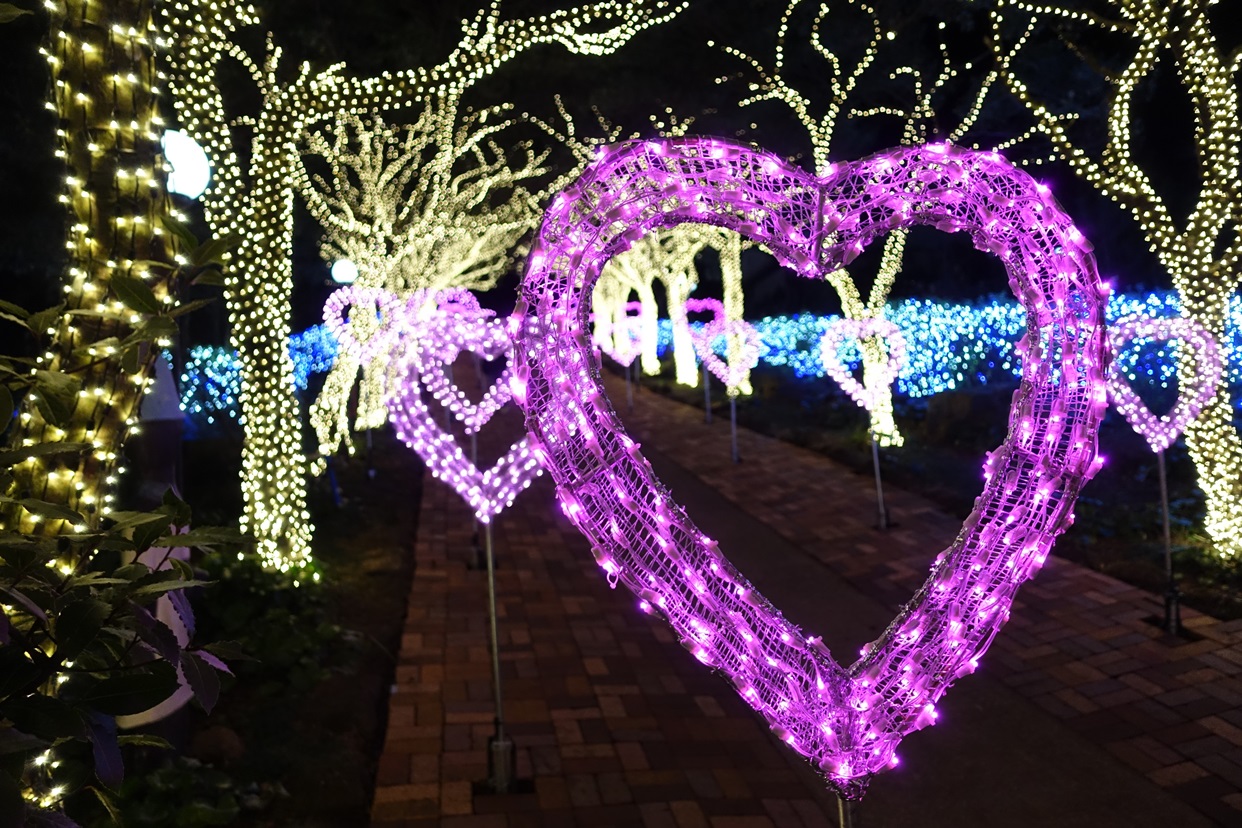 A Dazzling Night at Herb Dongsan Media Facade in Seogwipo - KwaveBlog