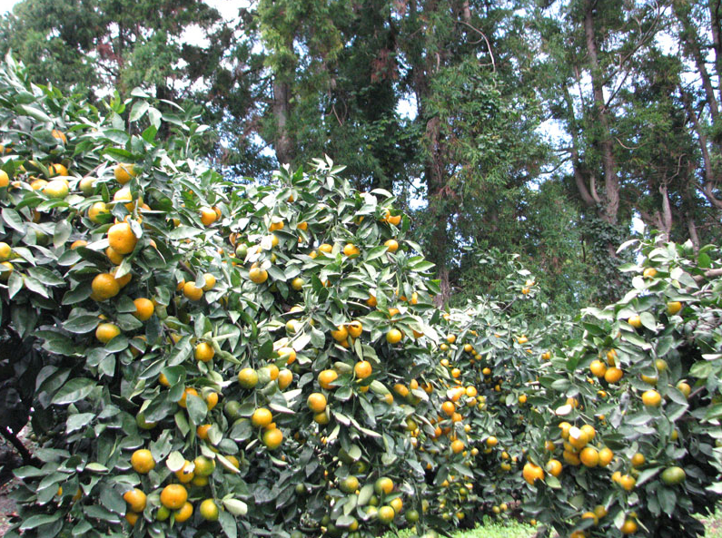 해품은체험농장