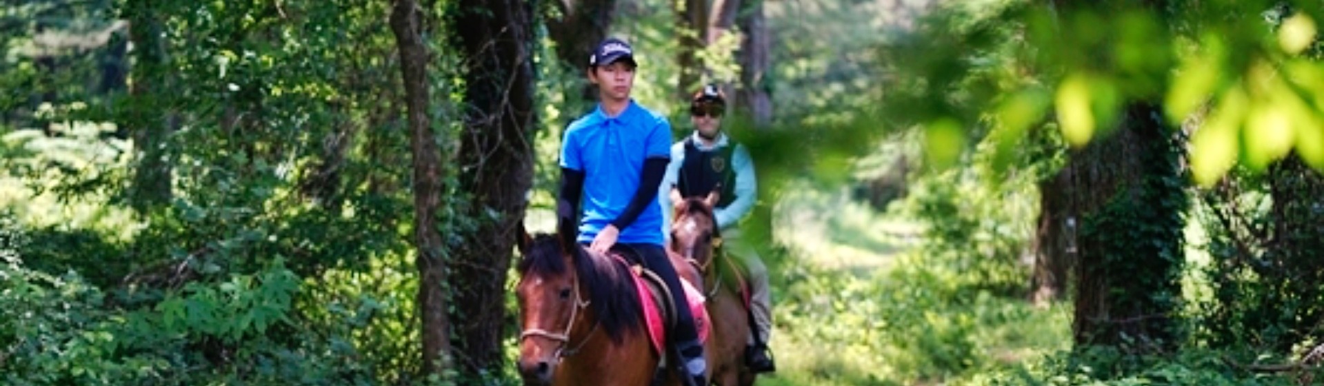 Jeju Horse Riding Park