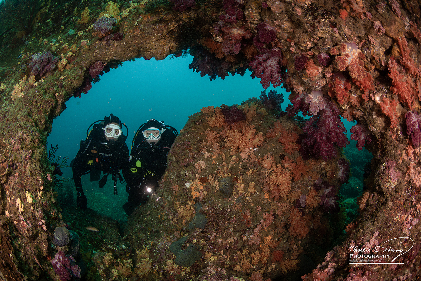 Experience Scuba Bliss at Cool Dive in Seogwipo - KwaveBlog