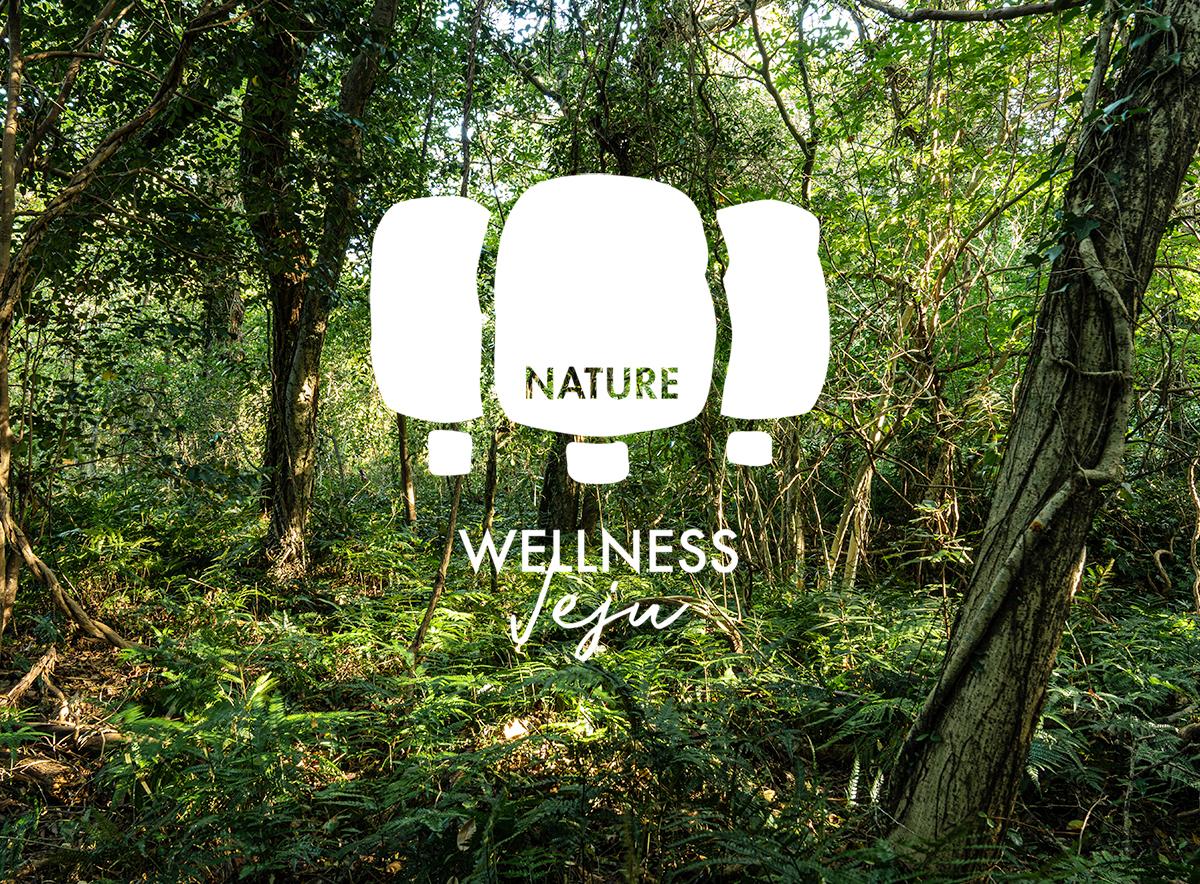 Eco-Healing at Gotjawal Forest in Jeju - KwaveBlog